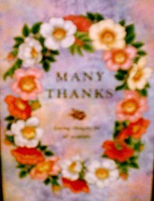 Many Thanks: Lisa Palas (Editor), Michel Design (Illustrator ...