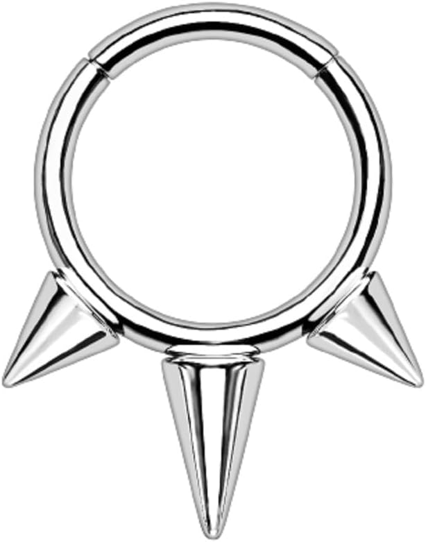 Amazon.com: Pierced Owl 16GA F136 Implant Grade Titanium Spiked Hinged Segment Ring : Clothing ...