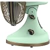 Amazon.com: Vornado Silver Swan Alchemy Oscillating Vintage Fan ...