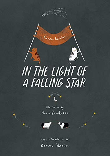 In the light of a falling star (Falling stars Book 1) eBook : Ravaldi ...
