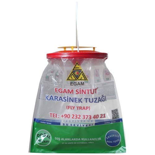 Sintut Large Black Bill Trap with Ministry of Health Approval 100% ...