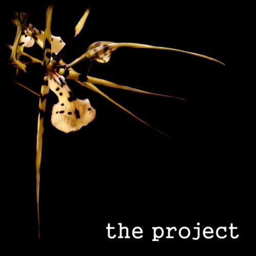 Amazon.com: The Project : The Project: Digital Music