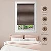 Amazon.com: PowerSellerUSA 2" Slats Cordless Window Blinds, 35W x 64L ...