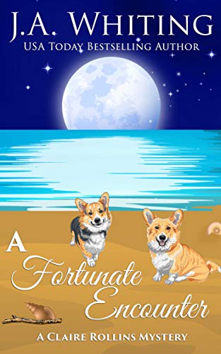 A Fortunate Encounter (A Claire Rollins Mystery Book 6) - Kindle ...