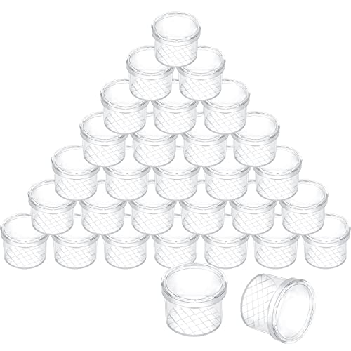 Learning about insects in the classroom - lesson ideas for teachers ...