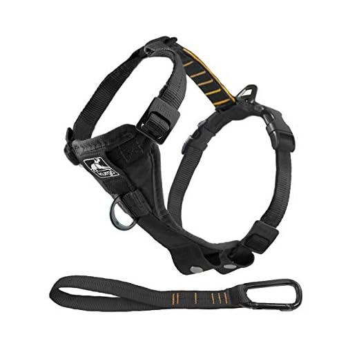 Best Velcro Dog Harness | My Dog Training Collar Velcro