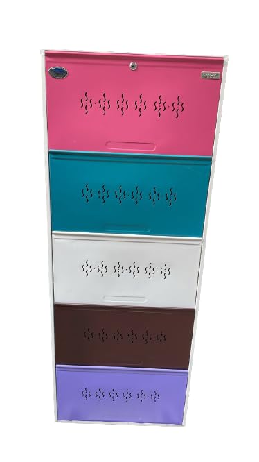 Shoe Rack Stainless Steel Cabinet with Lock & Door, Wall Mount : Amazon ...