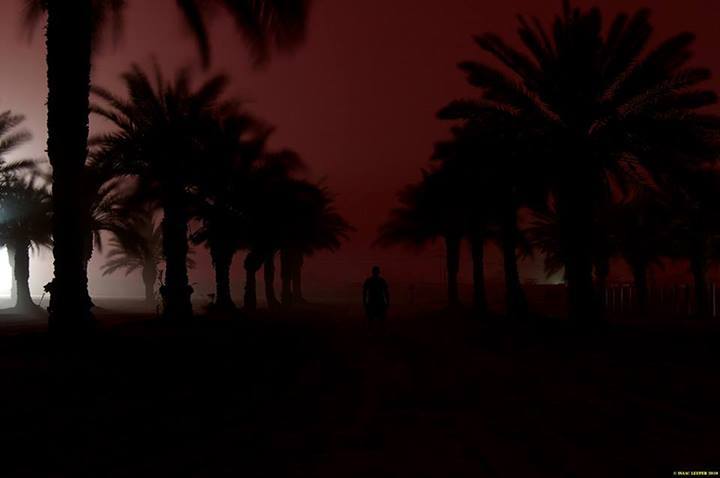 Amazon.com: Michael Hammor: books, biography, latest update