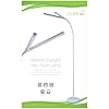 PURElite Natural Daylight Floor Lamp – Twin Lights for Double Power ...