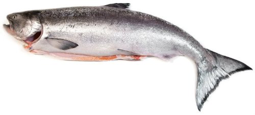Amazon.com: Pike Place Fish Market, Wild King Salmon, Filleted, Fresh ...
