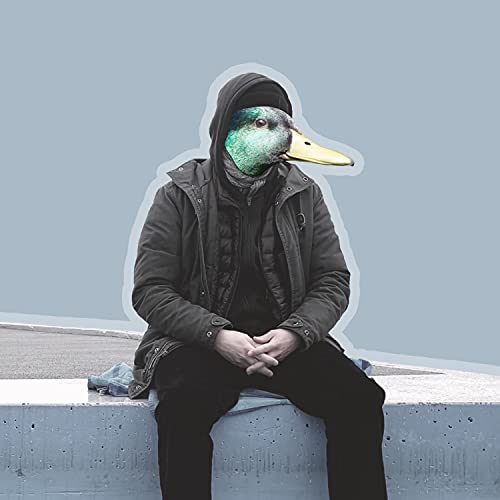 Hekto – Die 16 besten Produkte im Vergleich - Haustierratgeber Ratgeber