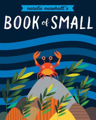 Book of Small: Natalie Marshall: 9781760405588: Amazon.com: Books