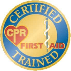 Amazon.com: Certified CPR First Aid Trained Pin : Health & Household