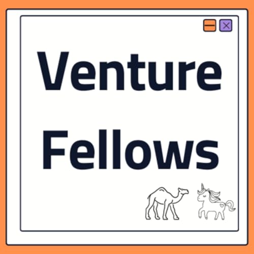 Amazon.com: Venture Fellows : Milton José Daré Junior: Audible Books ...