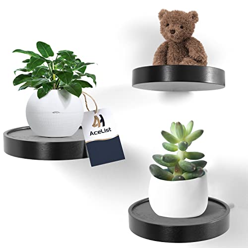 Best Round Floating Shelves to Elevate Your Home Decor - Totally Reviewed