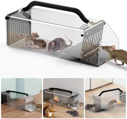 Amazon.com : 4 PCS Humane Mouse Traps No Kill,Combined Automatic ...