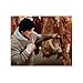 Amazon.com: Sylvester Stallone As Rocky Balboa Punching Meat 8 x 10 ...