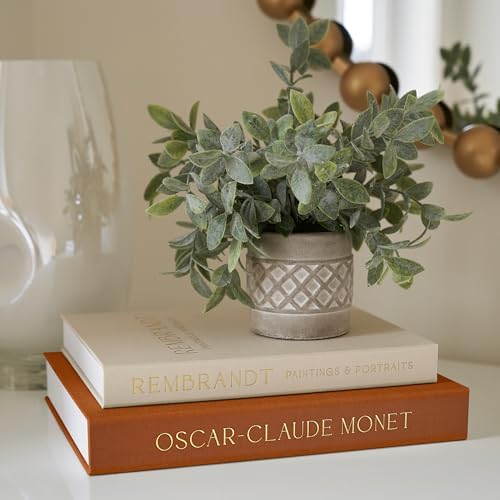 Amazon.com: Preppy Room Decor Book Boxes Set of 3 - Decorative Faux ...