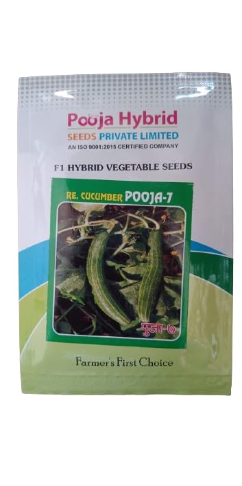 Pooja Hybrid Sponge Gourd Seeds POOJA-7 (50 grams) : Amazon.in: Garden ...
