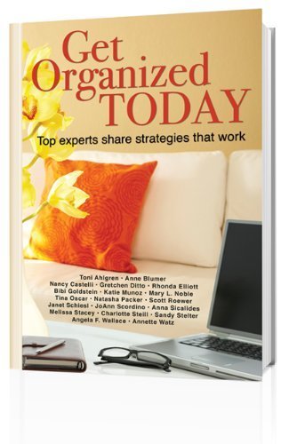Get Organized Today: Top Experts Share Strategies That Work: Rhonda ...
