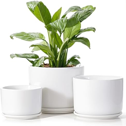 Amazon.com: sietpoek Plant Pots - 5.5 Inch Cylinder Ceramic Planters ...