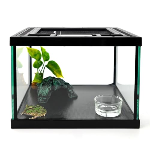 Snapklik.com : Mini Reptile Glass Terrarium Tank Starter Kits 8"8"6 ...