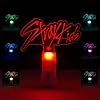 Amazon.com: CAHBNG Kpop Stray Kids Fan Gift Set, Stray Kids Set ...