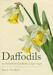 Daffodils, free vintage art sources, and more on weekend meanderings ...