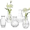 Amazon.de: Hewory Kleine Vase Glas Hochzeit Vasen Set: Vintage Blumenvase 5er Durchsichtig Deko ...