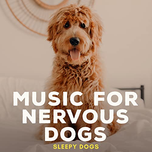 Amazon.com: Music for Nervous Dogs : Sleepy Dogs: Digital Music