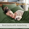 Amazon.com: Shilucheng 6 Piece Queen Sheet Sets, Cooling Sheets, Blend ...