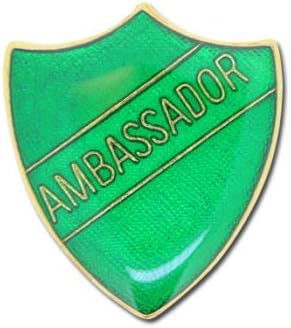 Amazon.com : 1000 Flags Ambassador Pin Badge for High School or College ...