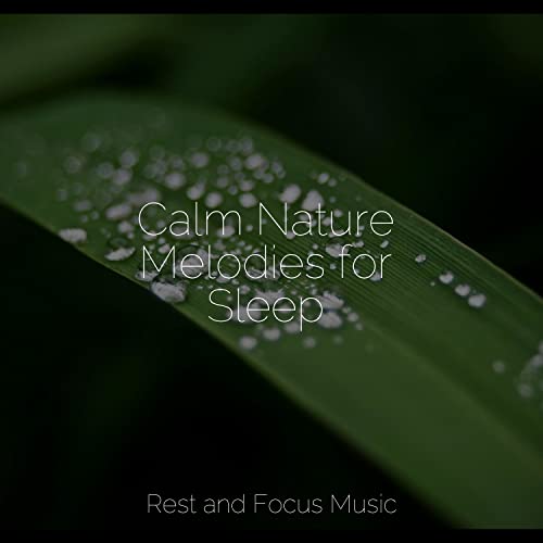 Écouter Calm Nature Melodies for Sleep de Study Zone, Serenity Spa Music Relaxation & Música ...