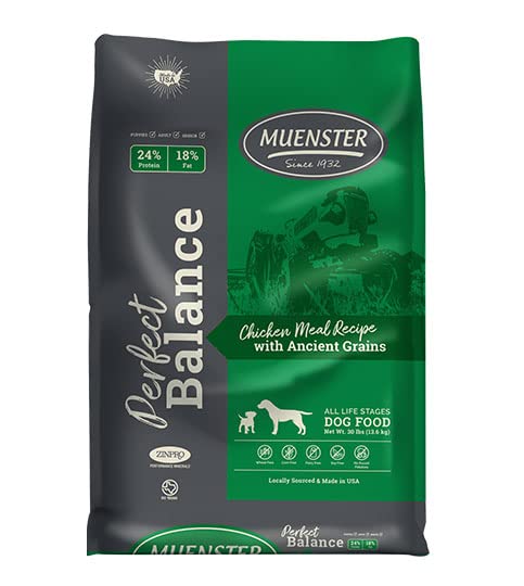 Biggest Bites for Your Furry Friend: Discover the Top 10 Largest Kibble ...