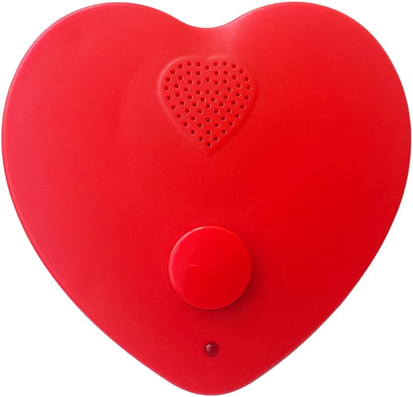 Amazon.com: XLW 16min Voice Recorder for Stuffed Animals,Personal Voice ...