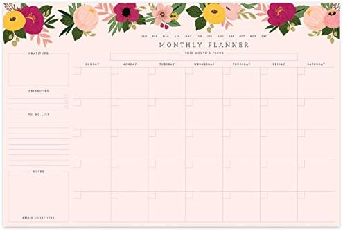 Amazon.com : Bliss Collections Monthly Planner, You've Got This ...