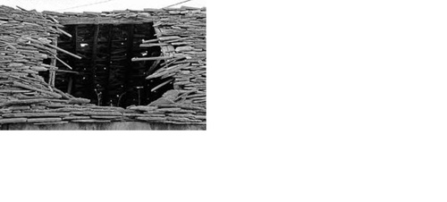 Amazon.com: The Death Maze: 9781628575118: Parnes, Richard: Books