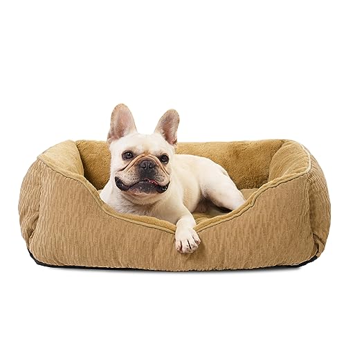 Top 10 Pooch-Approved Dog Beds: A Comprehensive Buying Guide - Furry Folly