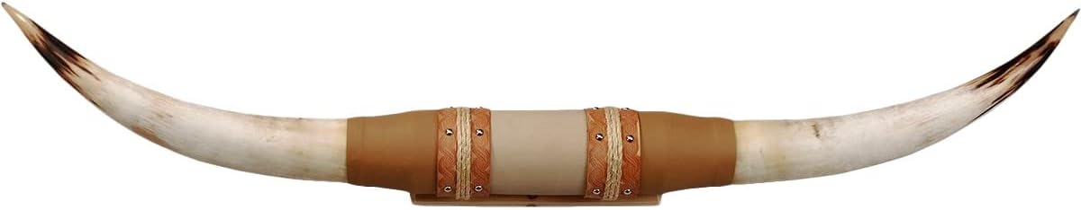 Amazon.com: Real Mounted Steer Cow Bull Texas Long Horns (One Set Only ...