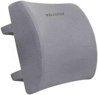 WELLGIVER Back Support for Chair | 2 Years Warranty | Memory Foam Car ...
