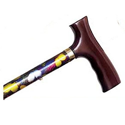 Amazon.com : Folding Cane - Butterfly. This Walking Cane has push ...