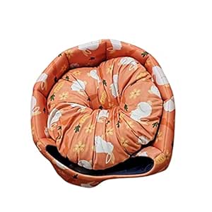 PetaHouse Luxurious Spongy and Easy to Organize Soft Sleeping Bed for ...