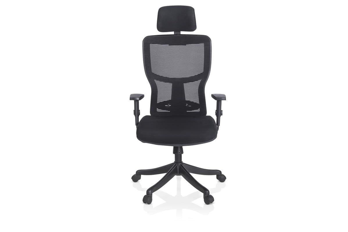 Ergoline Abs with Mesh Ergo HB ML Office Chair, Mesh Ergonomic Office ...