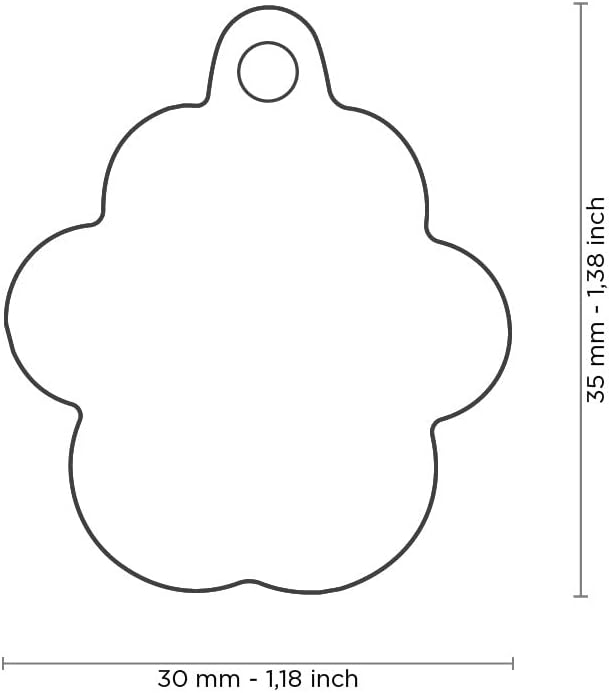 My Family – Name Tag for Dog and Cat – Classic Collection – Large Paw ...