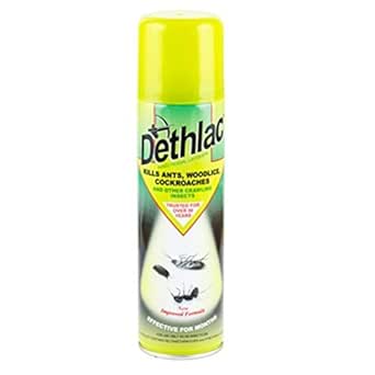 2 X Dethlac Insecticidal Lacquer (250 ml Aerosol, Controls Crawling ...