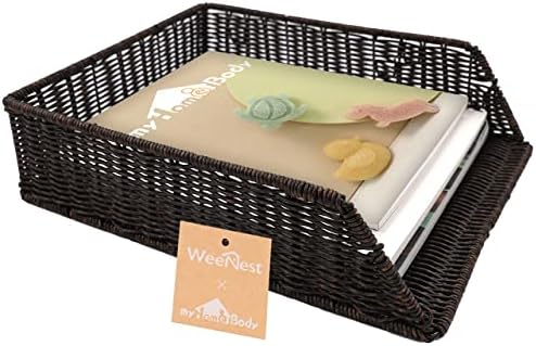 Amazon.com: BTSKY Multipurpose A4 File Tray Natural Water Hyacinth Desk ...
