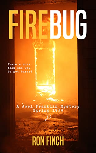 Amazon.com: Firebug (A Joel Franklin Mystery Book 10) eBook : Finch ...