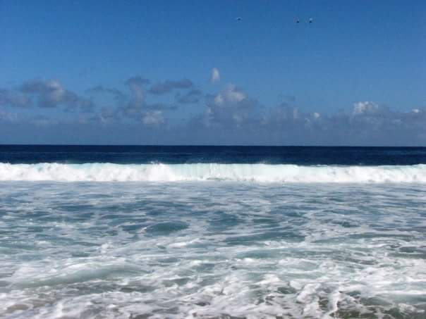 Amazon.com: Michael Colorado: books, biography, latest update