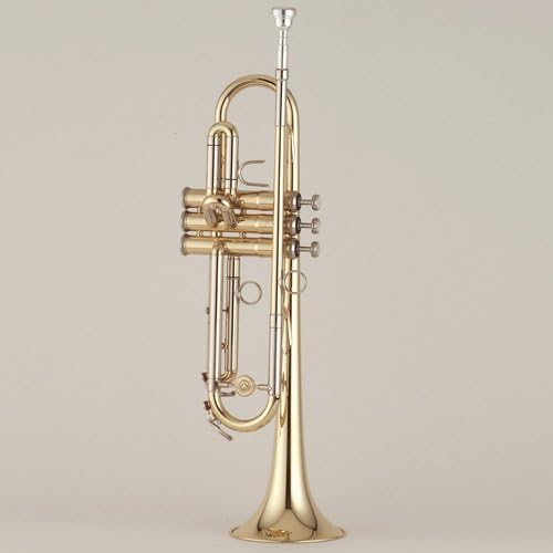 Amazon.com: Holton ST307 MF Horn Series Bb Trumpet Lacquer : Musical ...