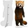 Amazon.com: Red Panda Cardboard Cutout Standee 5FT – Life Size Standup ...
